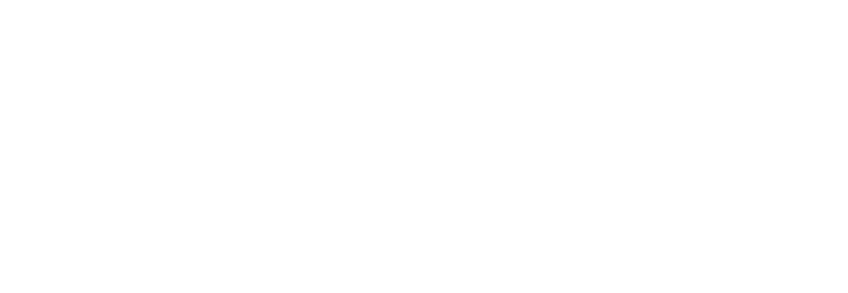 Zonal Scenting Guide: Best Diffuser Scents for Every Space